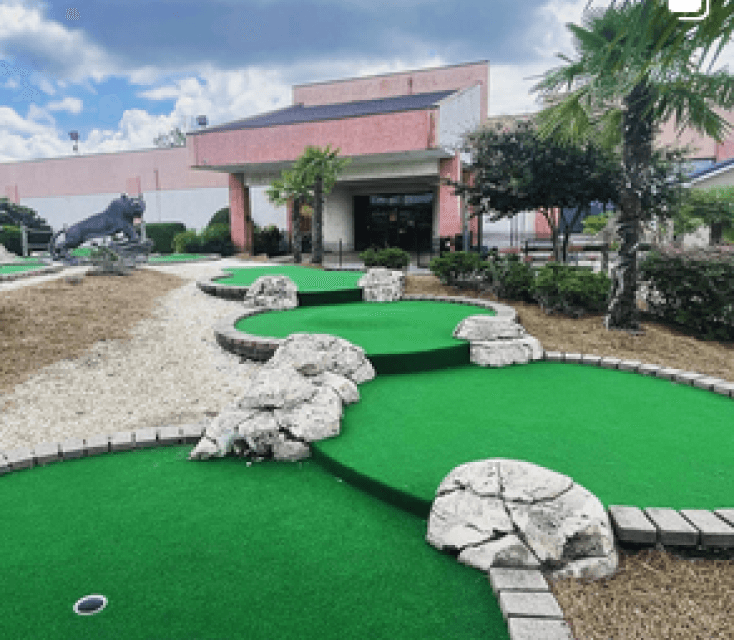 Premium Artificial Turf Solutions | Southern Turf Supply